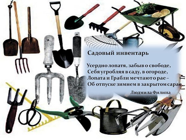 Садовый инвентарь (Людмила Филина) / Стихи.ру