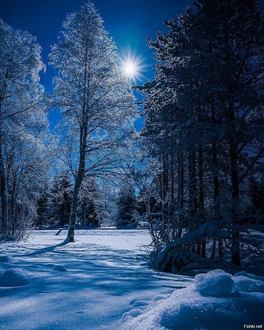 Пусть будет жизнь всегда прекрасной Людмила Кичигина Стихи ру