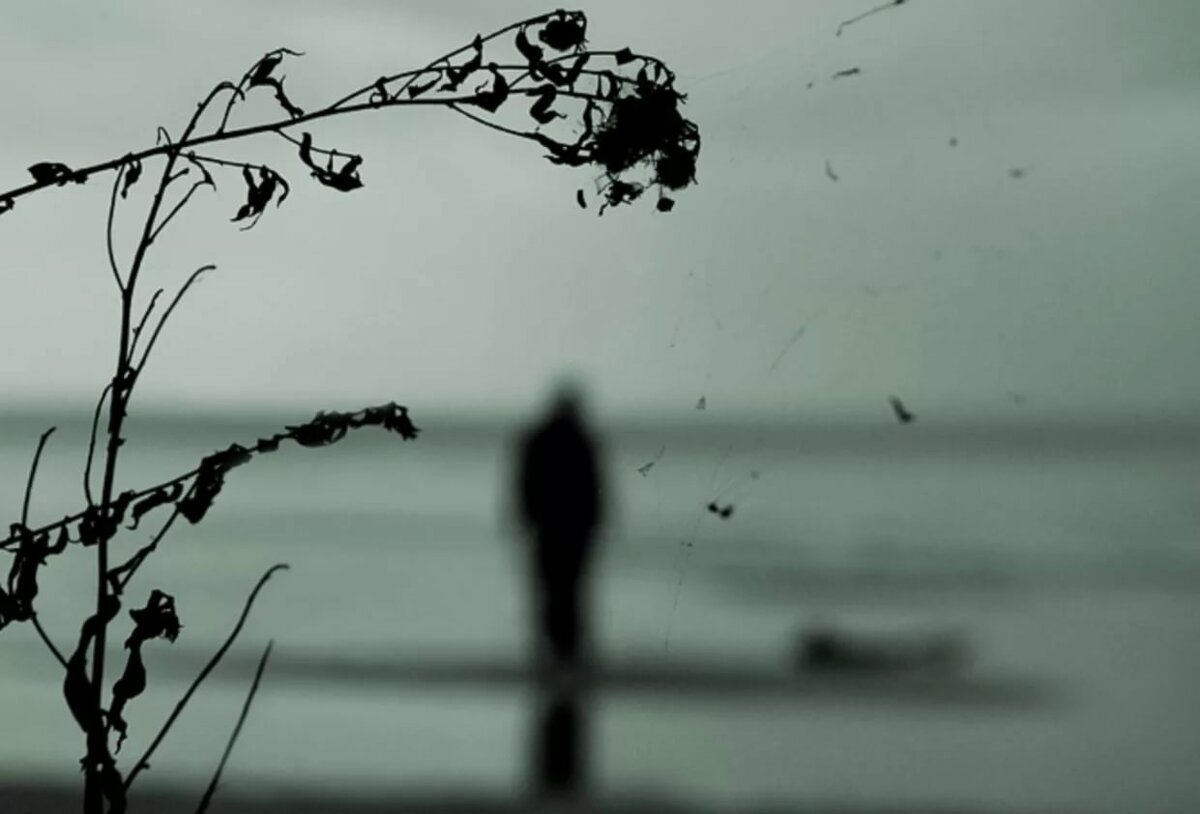 Метания (Ольга Фоменко-Ходыкина) / Стихи.ру