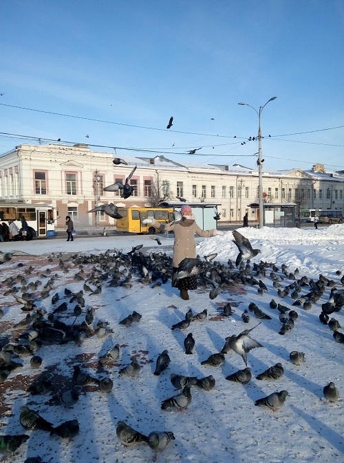 Борьба с невидимым врагом Лена Джой Стихи ру