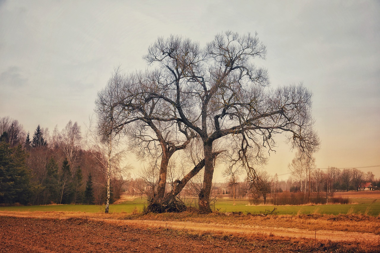 Нет сентября (Травин Андрей Анатольевич) / Стихи.ру